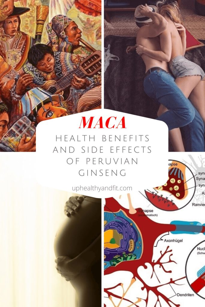 Maca: Health Benefits and Side Effects of Peruvian Ginseng